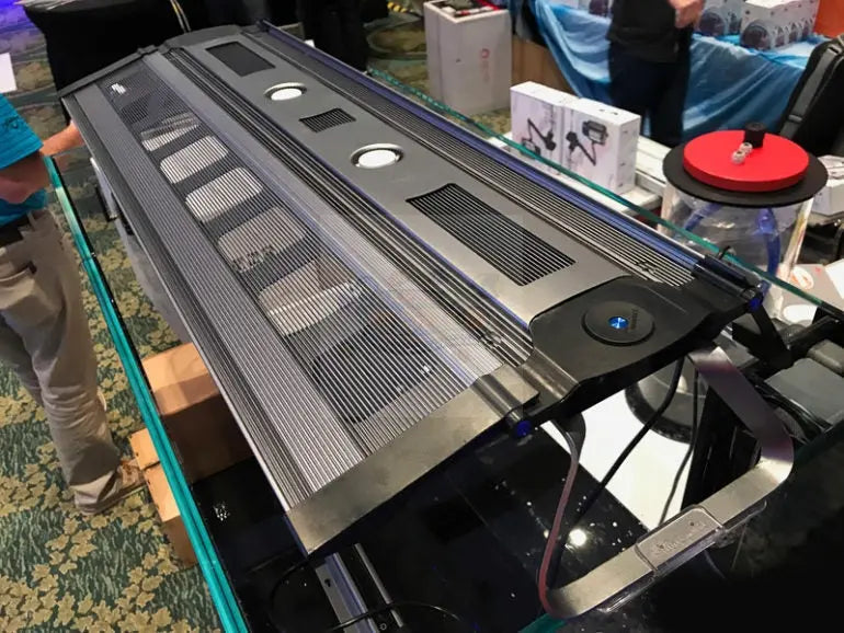 Maxspect Recurve LED Light Review – Marine World Aquatics
