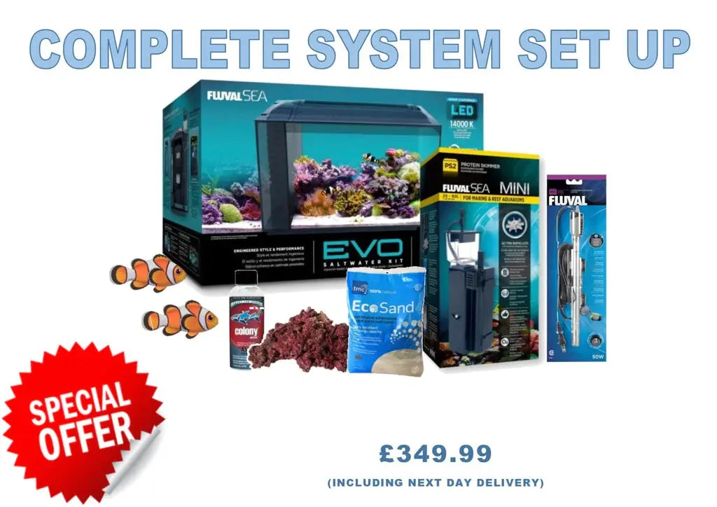 COMPLETE MARINE SYSTEM SETUP - Marine World Aquatics
