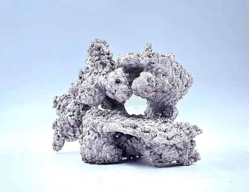 Art Reef Rock (S) - Aquatic Masterpiece – Marine World Aquatics