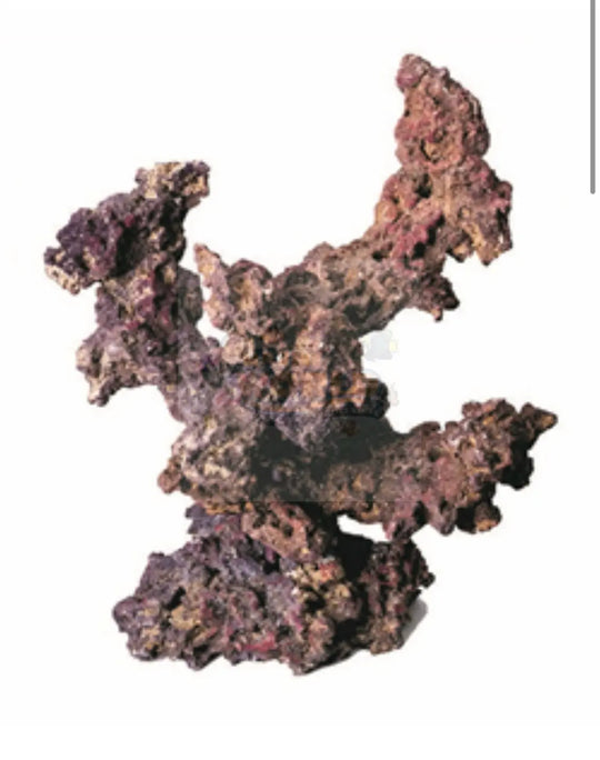 Caribsea Life Rock Reef Tree - Buy Now! – Marine World Aquatics